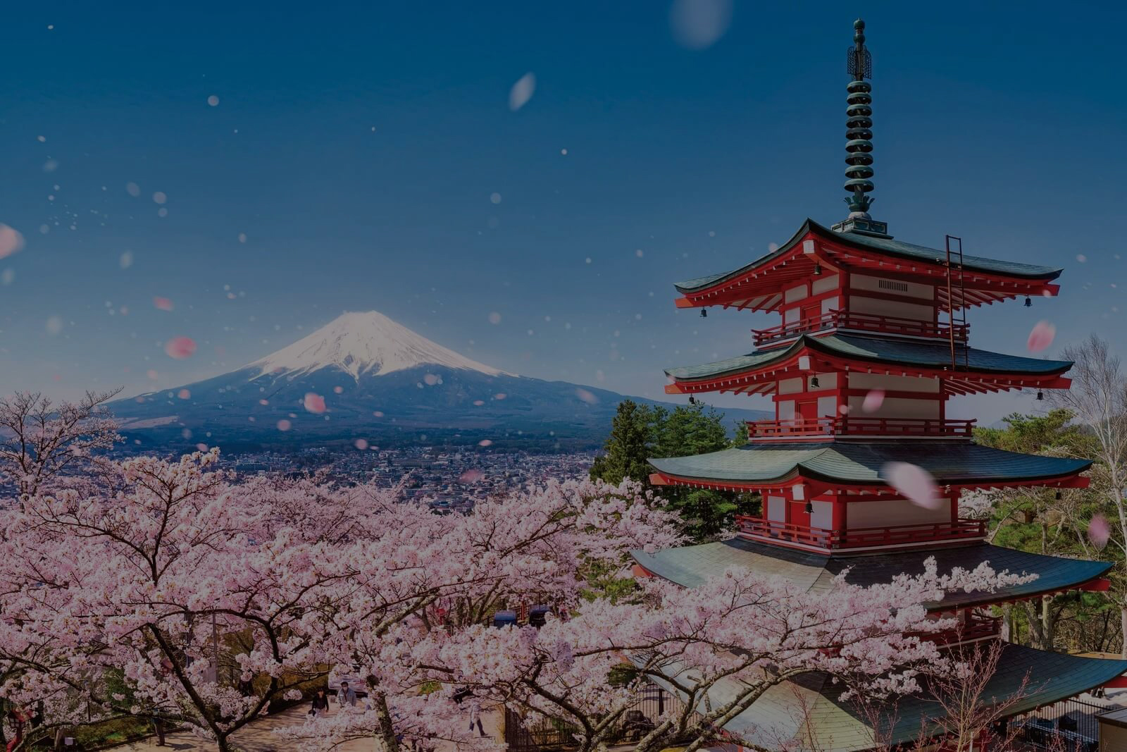 PSD TUR - Travel Agency